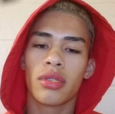 SNEAKO | JartexNetwork